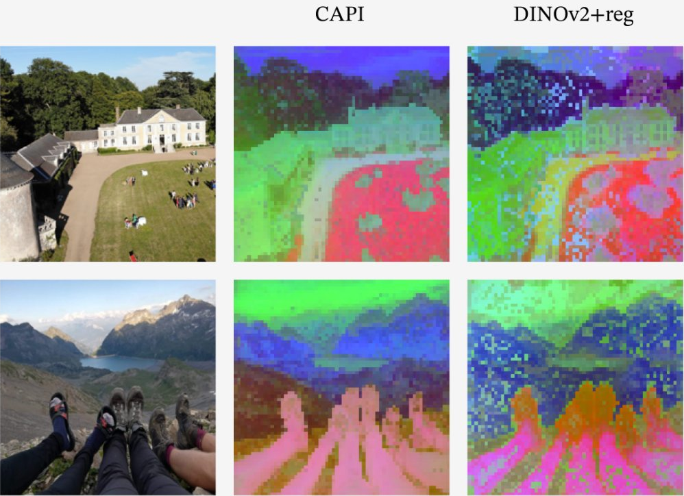 Cluster and Predict Latents Patches for Improved Masked Image Modeling | Federico Baldassarre